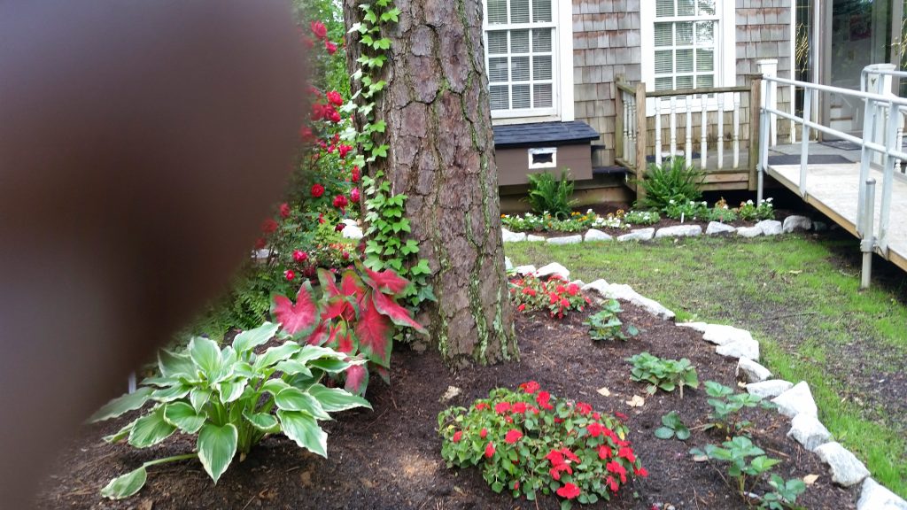 Our Gardening Program - The Benjamin Group Peer to Peer Housing Consultants