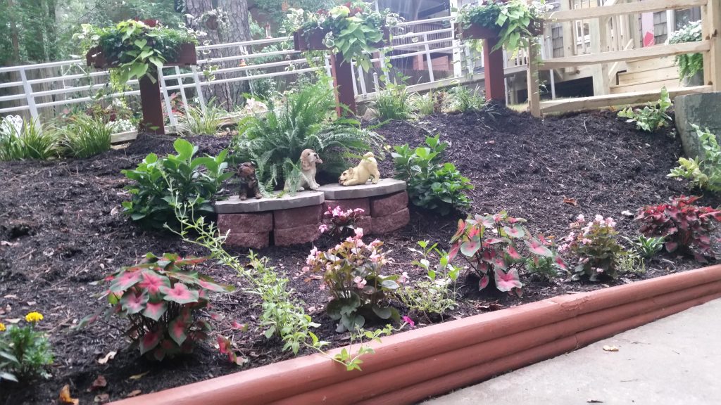 Our Gardening Program - The Benjamin Group Peer to Peer Housing Consultants
