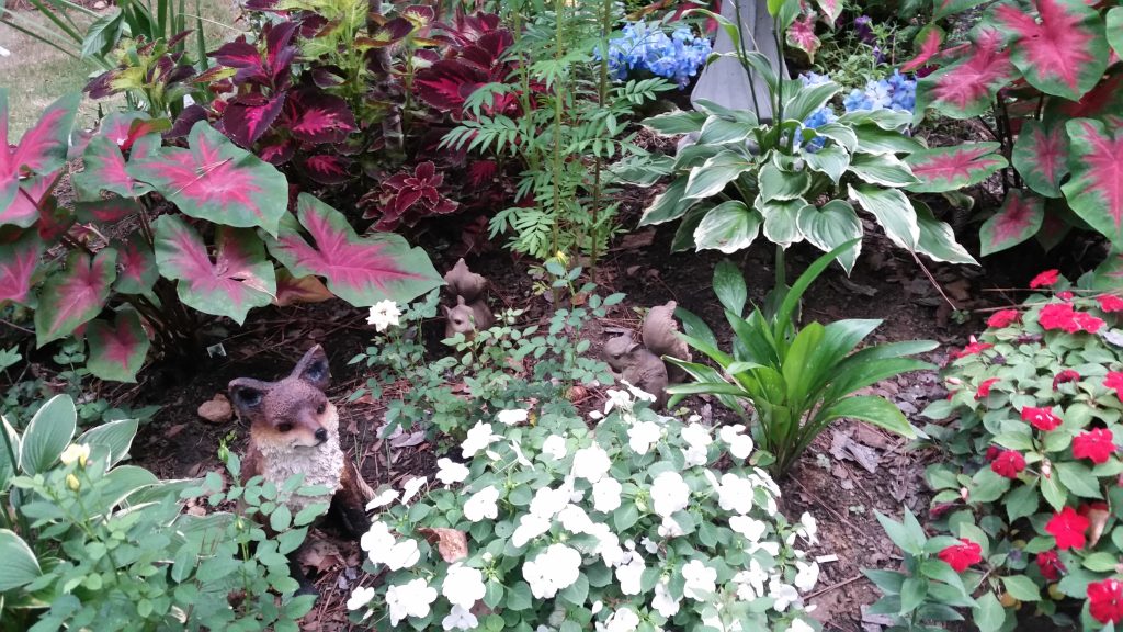 Our Gardening Program - The Benjamin Group Peer to Peer Housing Consultants