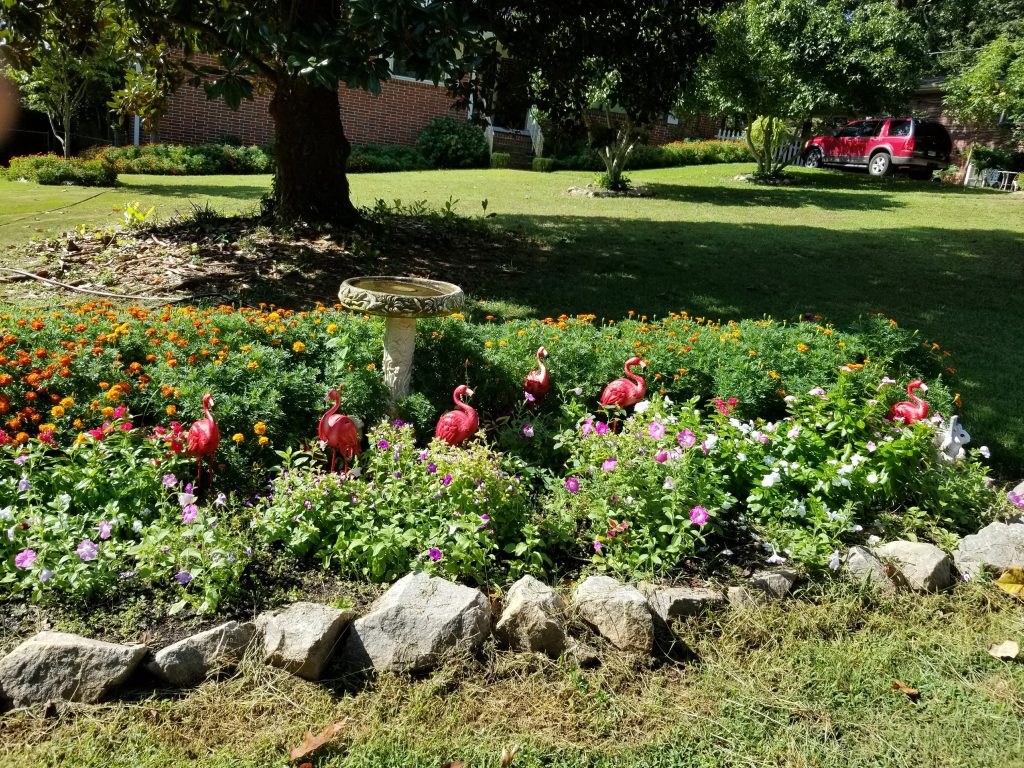 Our Gardening Program - The Benjamin Group Peer to Peer Housing Consultants