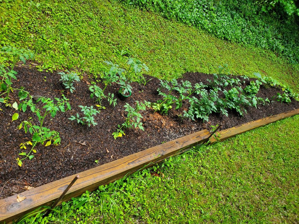 Our Gardening Program - The Benjamin Group Peer to Peer Housing Consultants