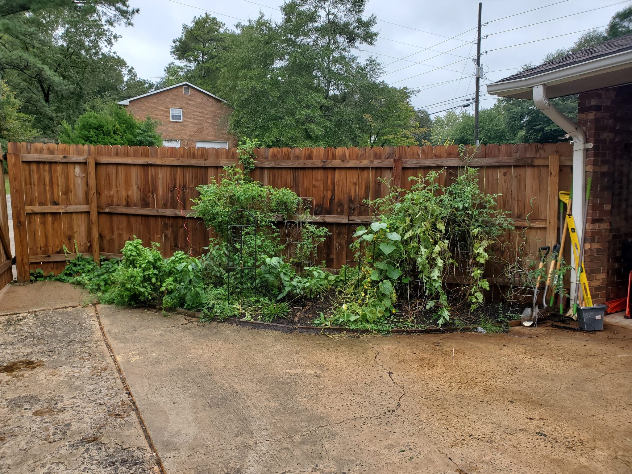 Our Gardening Program - The Benjamin Group Peer to Peer Housing Consultants