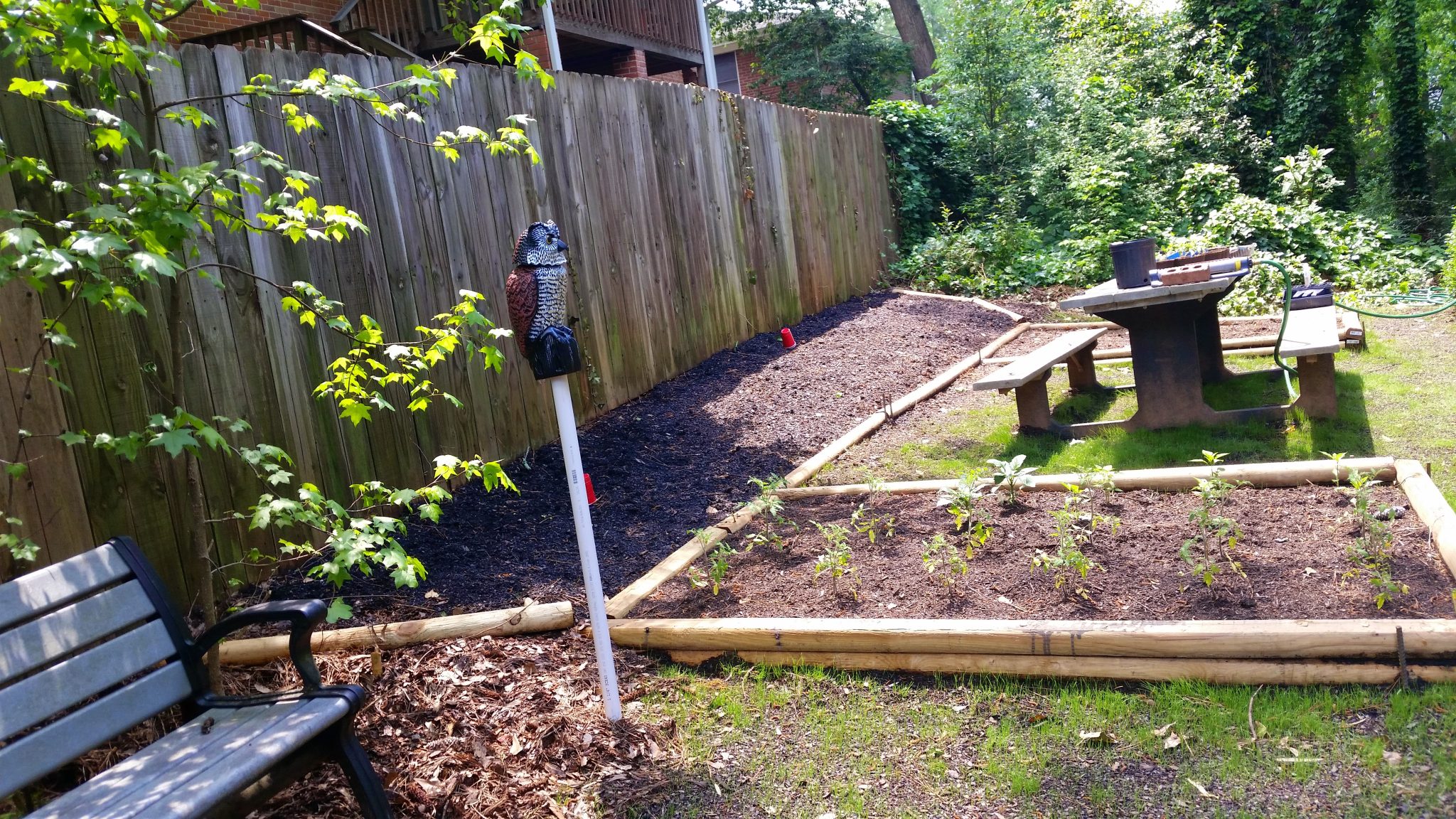 Our Gardening Program - The Benjamin Group Peer to Peer Housing Consultants