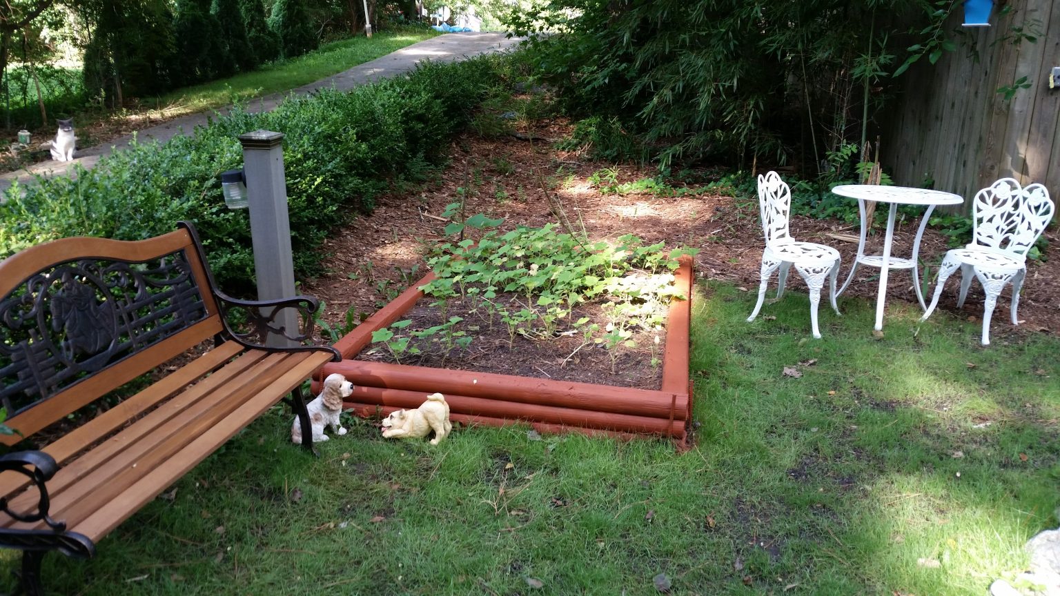 Our Gardening Program - The Benjamin Group Peer to Peer Housing Consultants