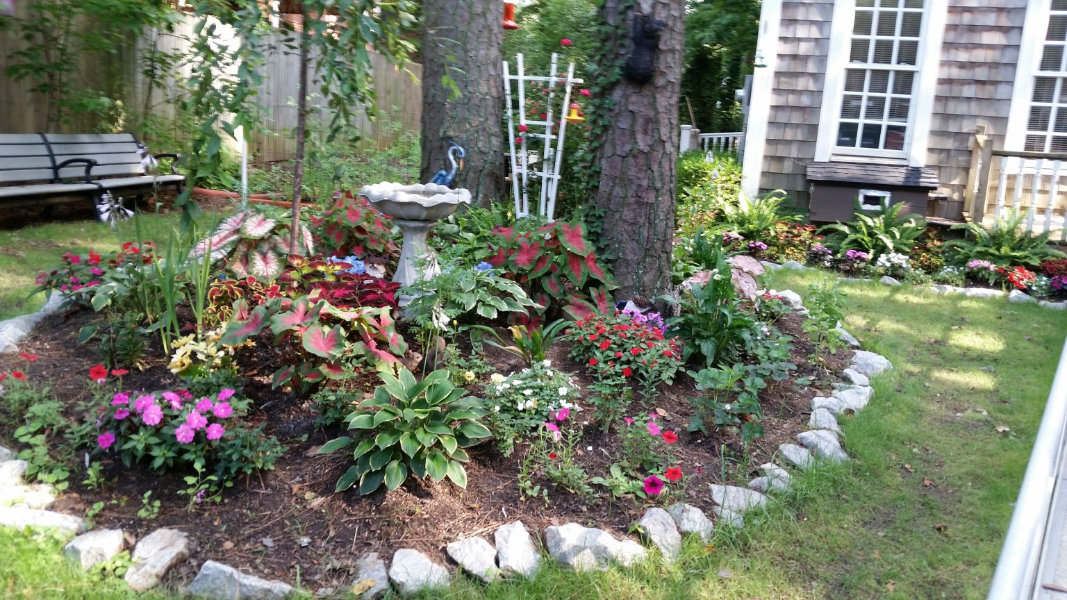 Our Gardening Program - The Benjamin Group Peer to Peer Housing Consultants