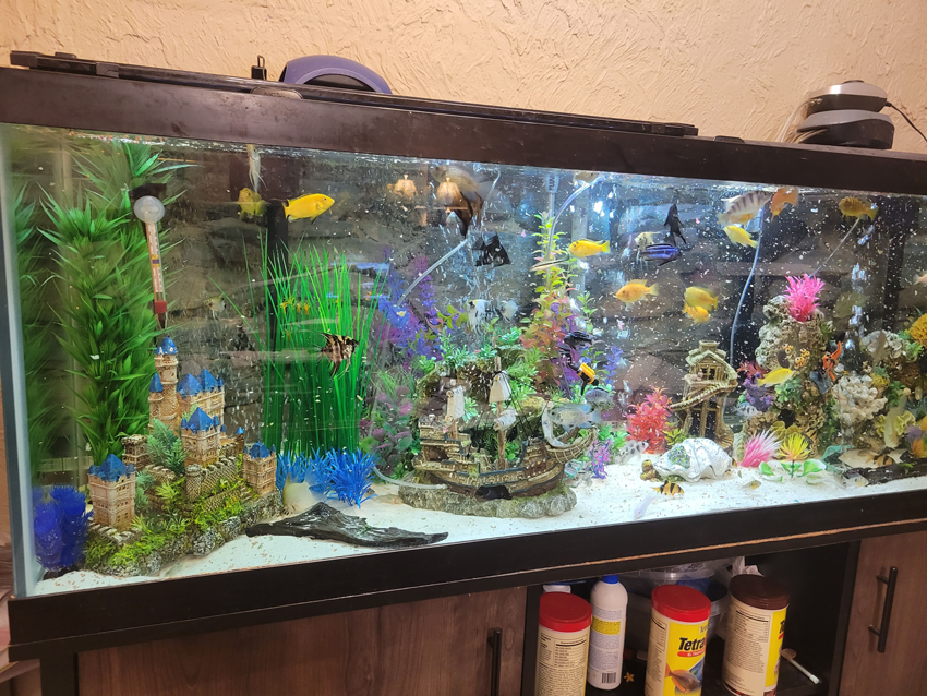 Our Homes | The Benjamin Group - Safe and Supportive Housing